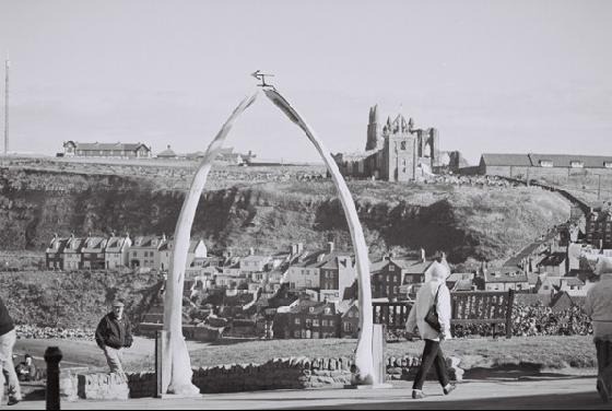 The Whitby Project: 5 Interesting Facts