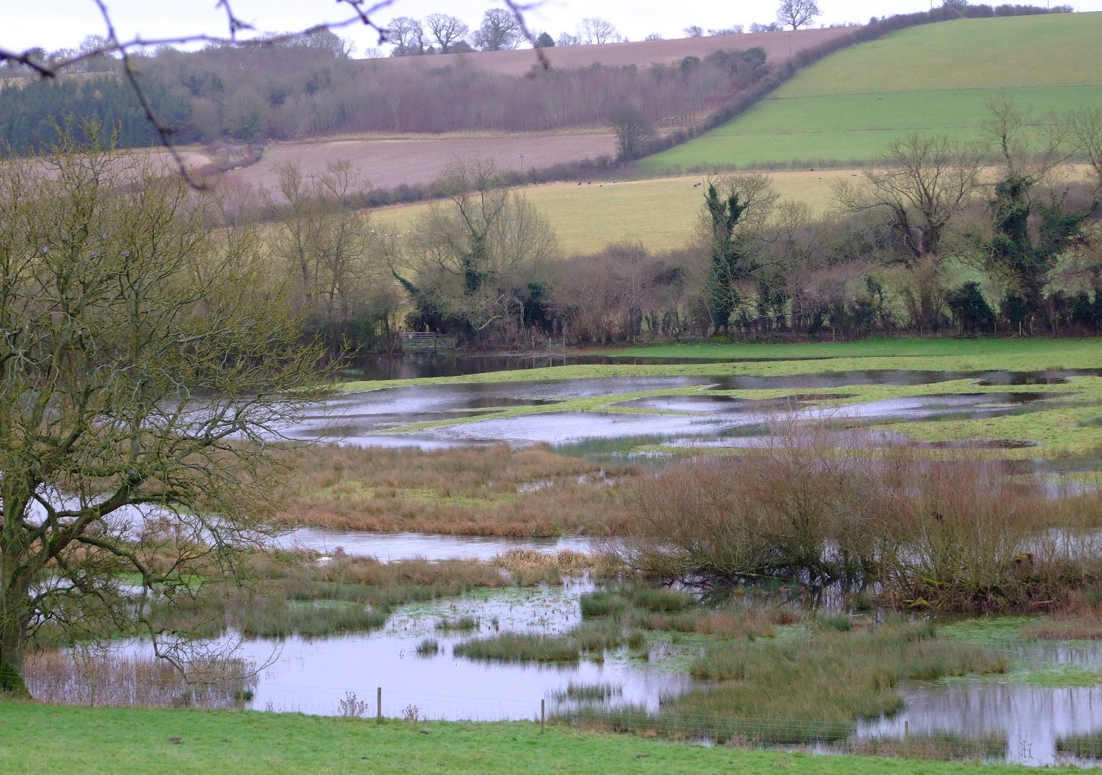 Canoeing and Kayaking on The River Kennet: Water levels up and down the ...