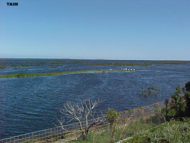 O rio grande que poucos conhecem!: Reserva do Taim