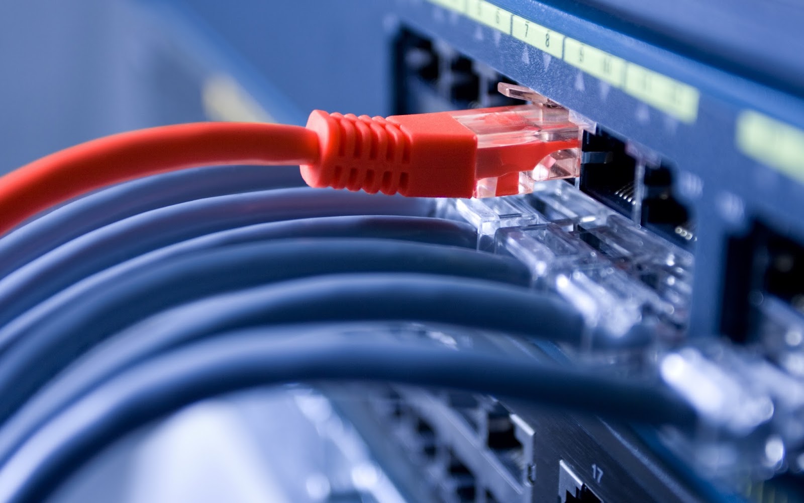 Guate Empleos IT: Especialista en Redes y Telecomunicaciones