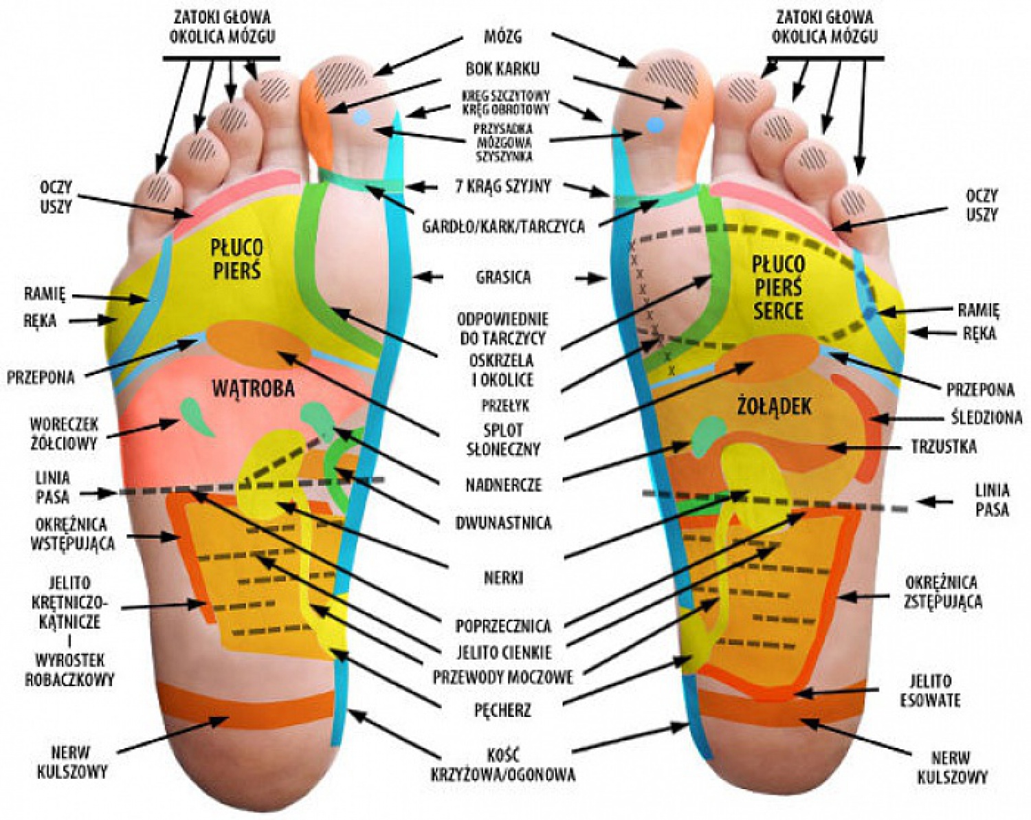 Na czym polega refleksoterapeutyczny masaż stóp? - blog o urodzie
