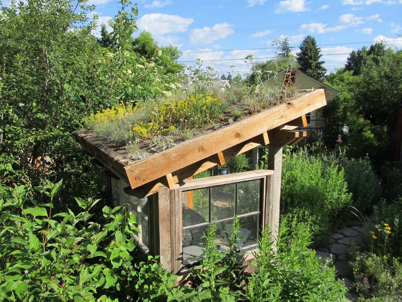 Montana Wildlife Gardener: 2011 Garden Projects update