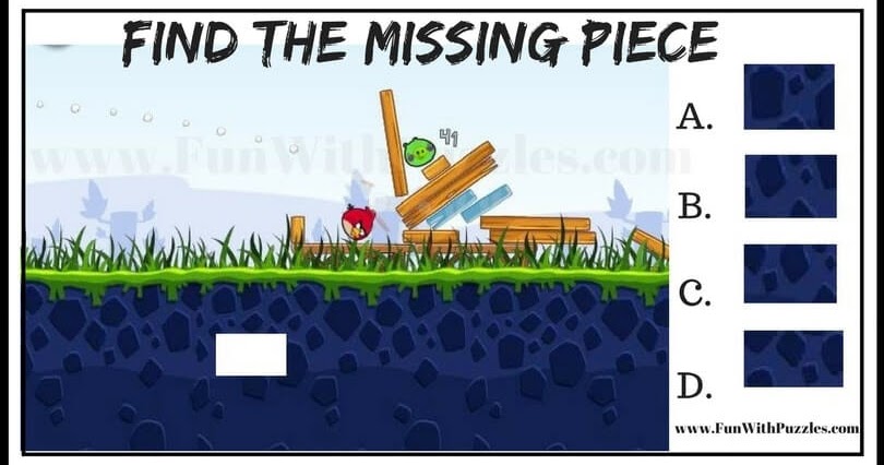Spot the Missing Piece: Angry Bird Picture Puzzle Question