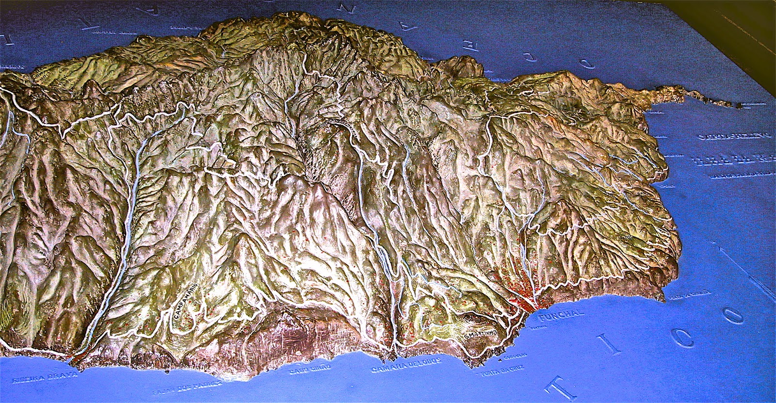 ole's wines & vineyards: The Wines of Madeira