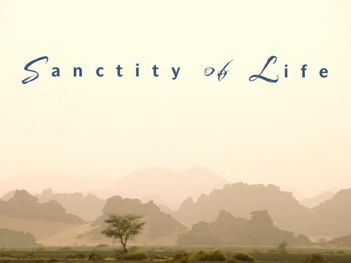 Paranteze si digresiuni | Madalin Matica: Problematica sanctitate a ...