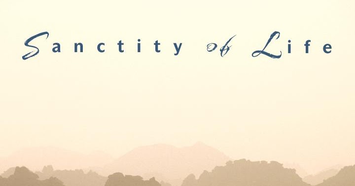 Paranteze si digresiuni | Madalin Matica: Problematica sanctitate a ...