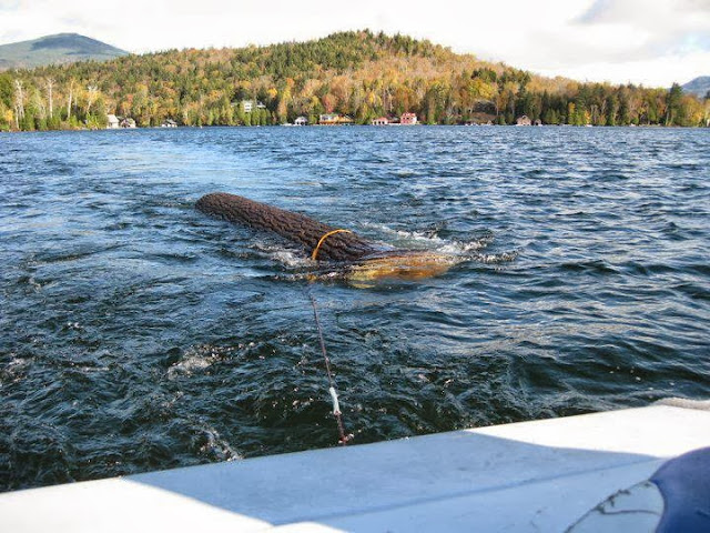 My Perfect Little House: September 2013