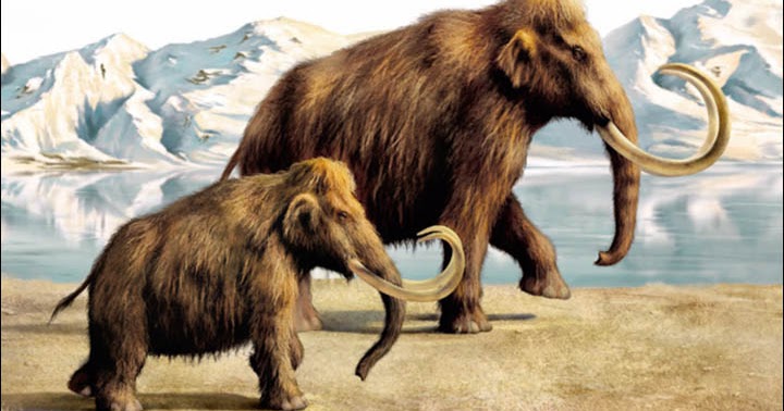 Attack of the Mammoth - Native Americans