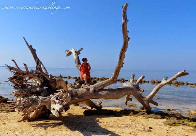 10 Great Reasons to Visit Potipot Island | Vivi's Random Ramblings ...