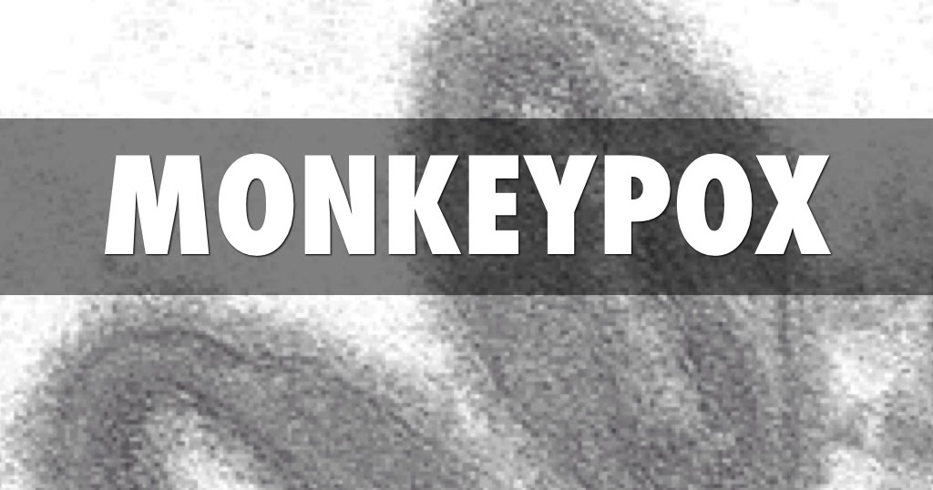 Discovery LITE Network