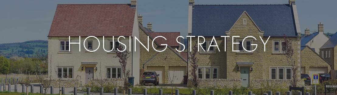 Maisemore Parish Council: Housing Strategy published