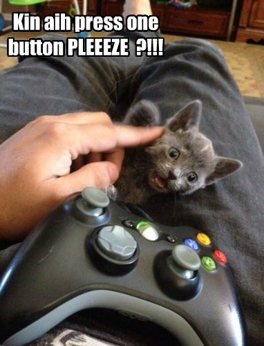 You Died! It's My Turn - Funny Cat Memes