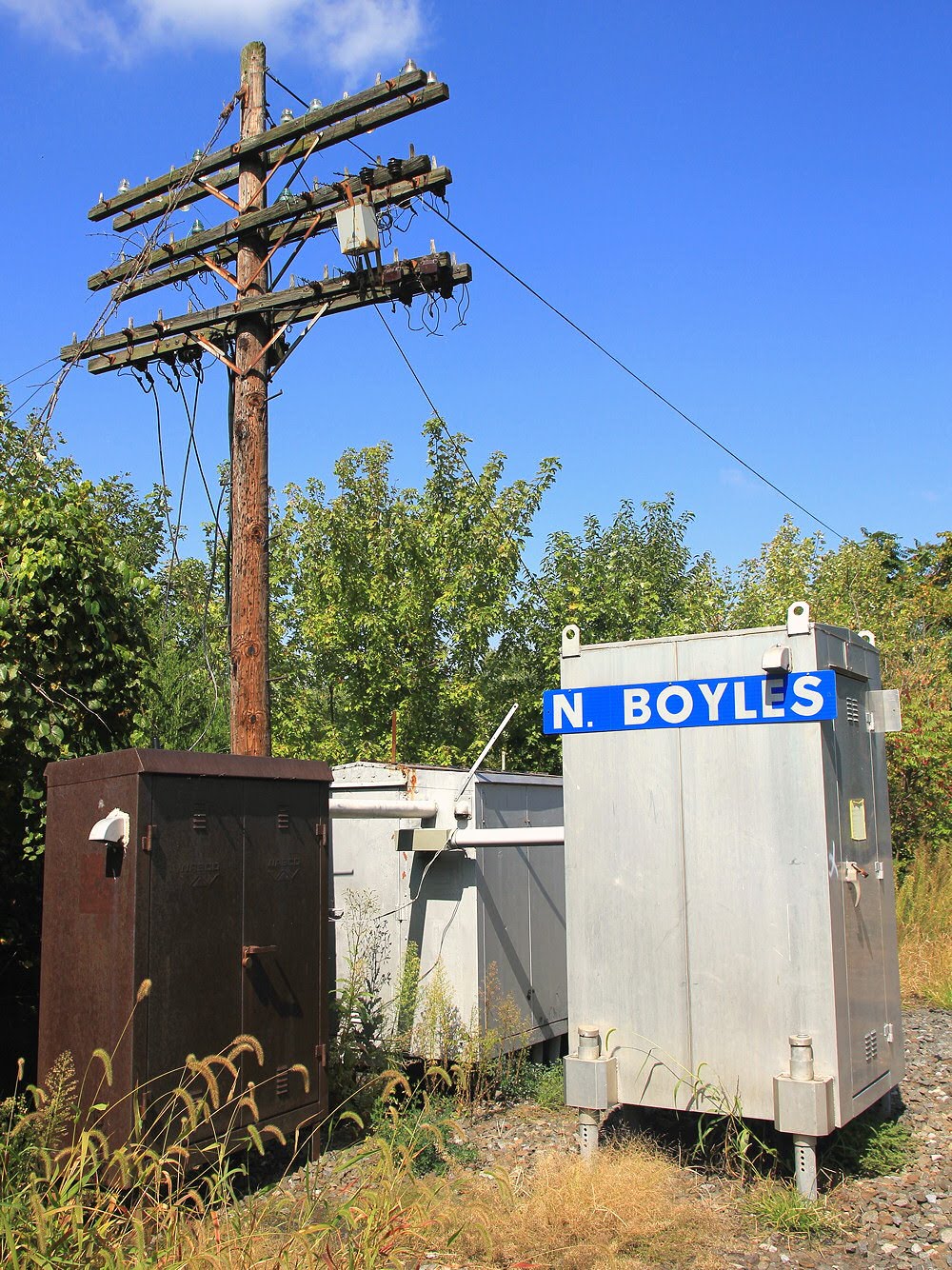 PHOTOS: BUFFALO LINE