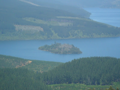 CUENTOS Y LEYENDAS EN TEXTO: El pájaro Tue - Tue