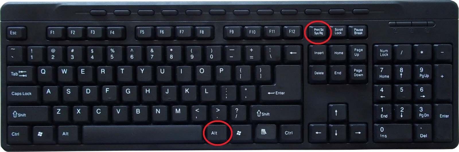 Ask Your "HOW": How to take a Screen Shot on Windows?