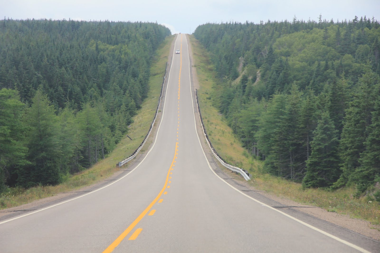 Greggle Goes West: You’ve Already Won Me Over, In Spite of Me