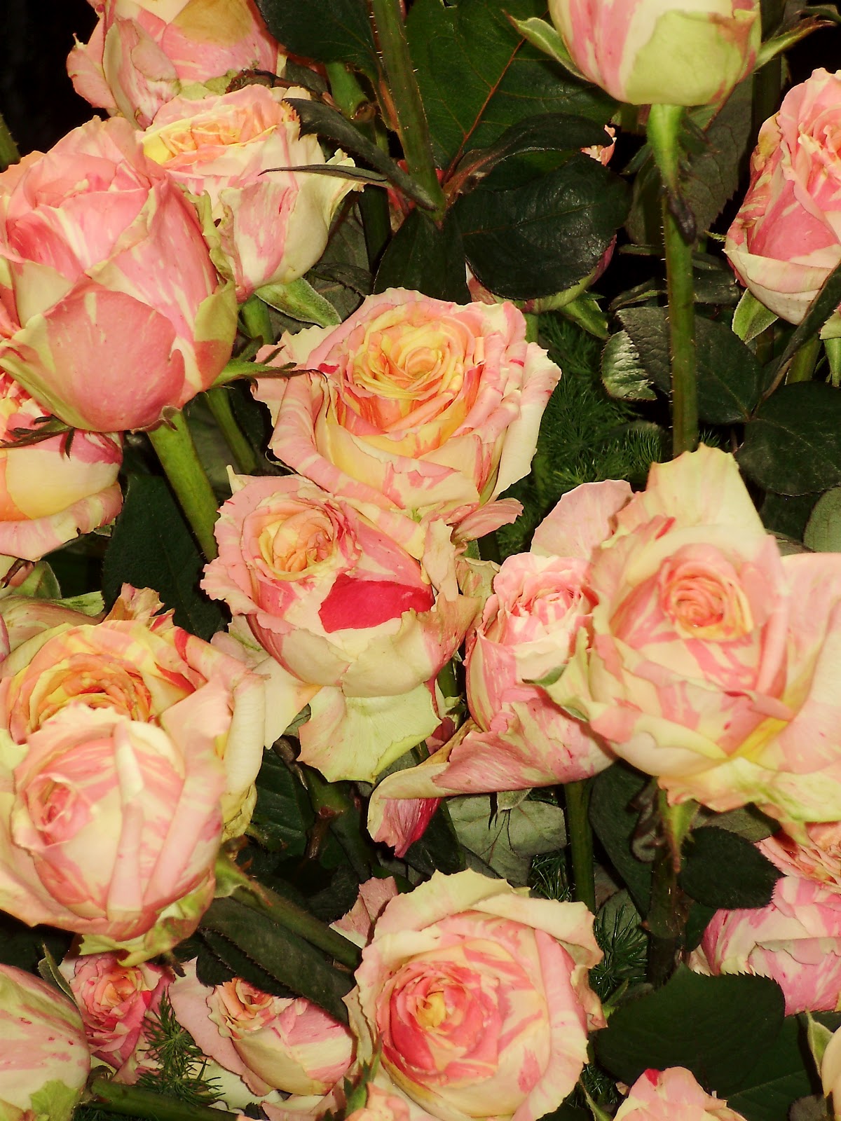 DK's Craft Café: Happy Easter! Roses for You :)