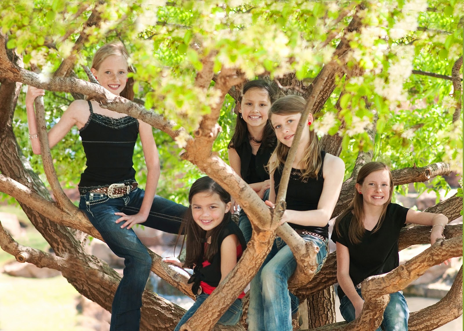 Carrie Saindon Photography: Extended Family Session | The Boysen Family ...