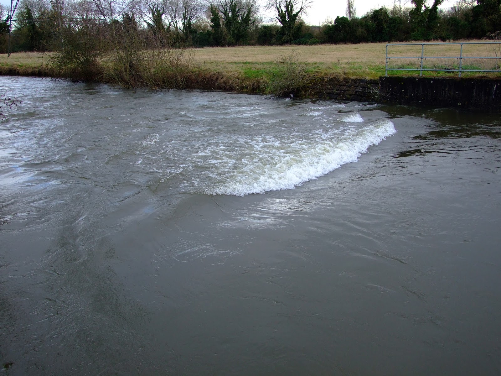 Canoeing and Kayaking on The River Kennet: Water levels up and down the ...