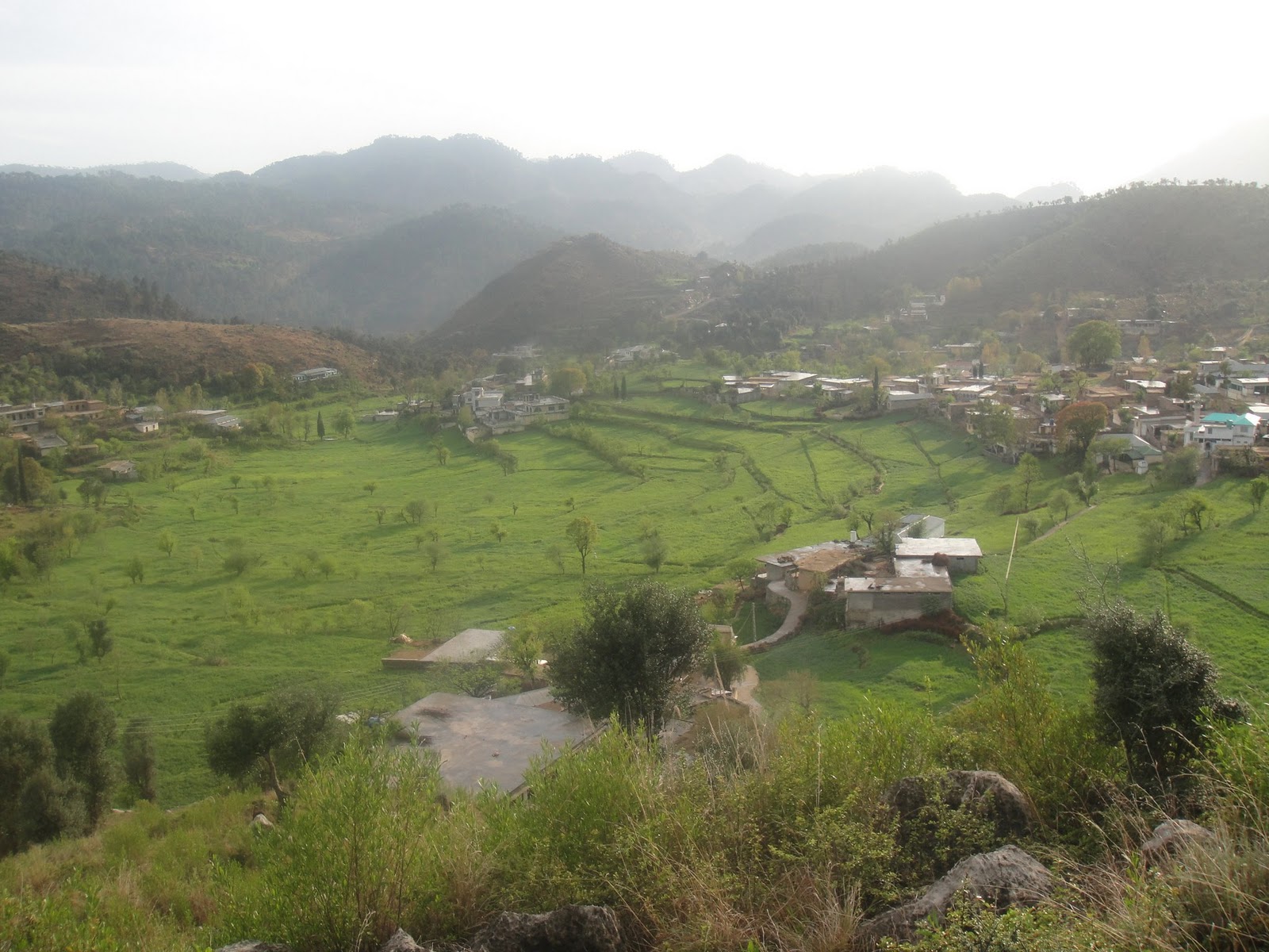 Hazara Haripur Jabri ~ Jabri - Hazara Haribur Jabri KPK