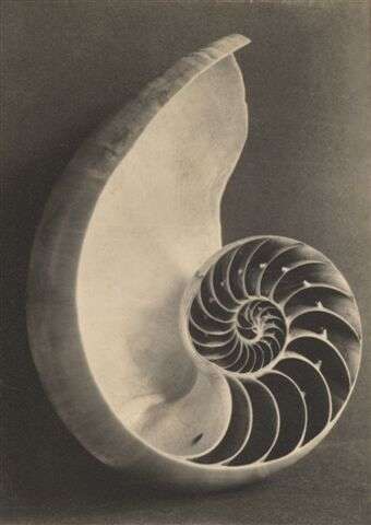 Los Grandes Fotografos: Frederick H. Evans (1853-1943)