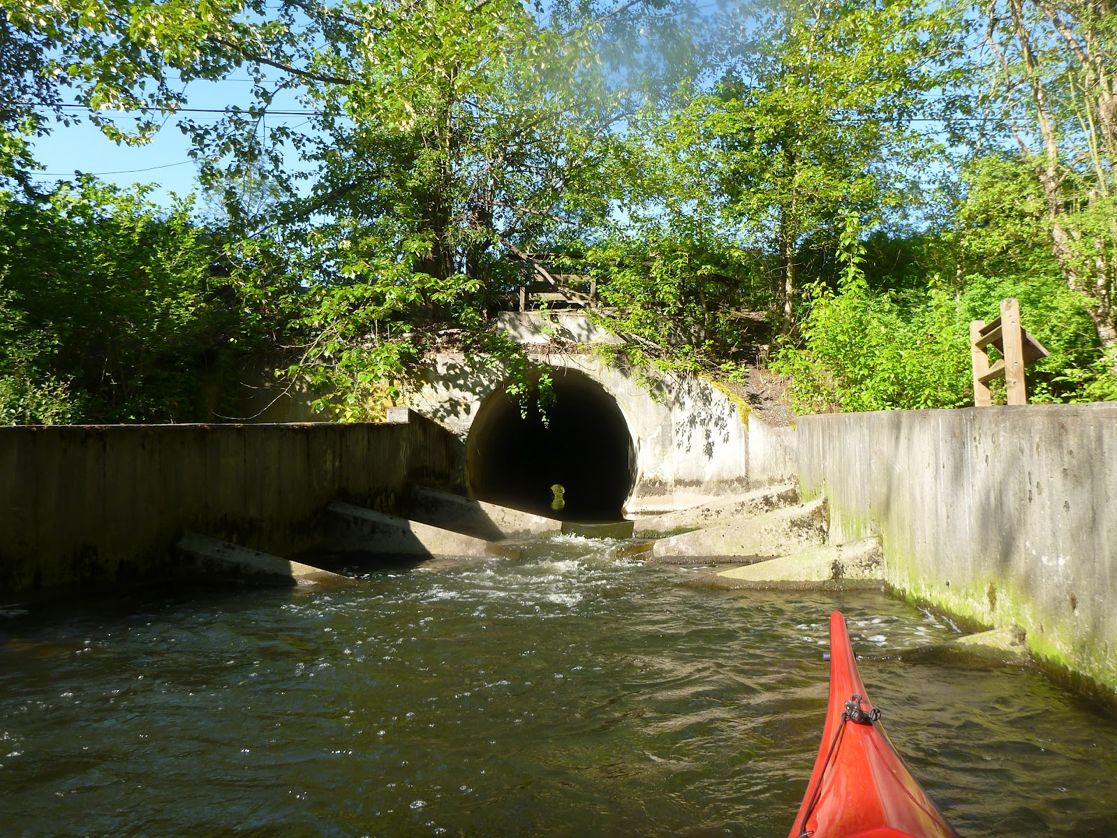 Kayakventures: Misadventures in sea kayaking: Mercer Slough