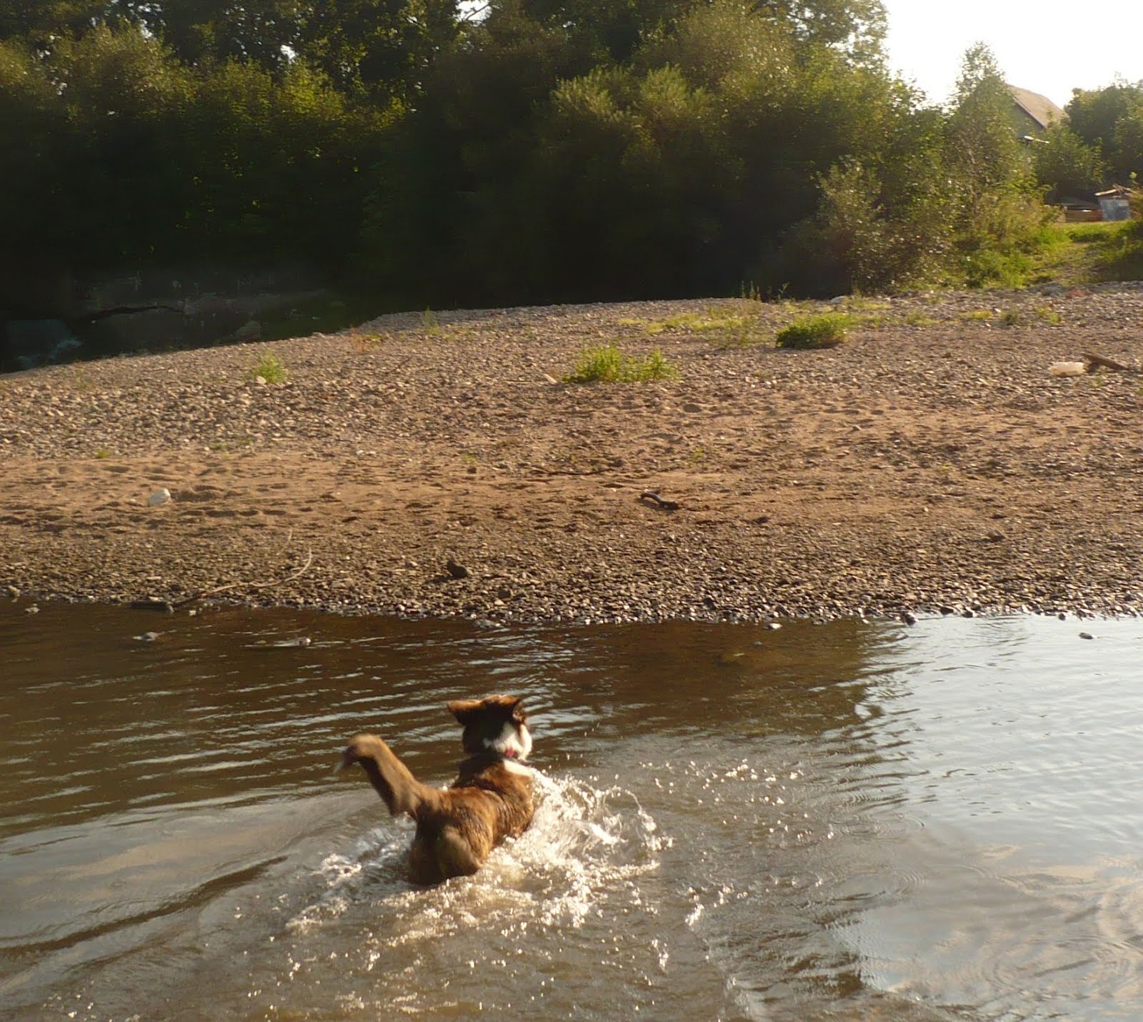Jaremka: Tak nam dobrze z Panem Bobrze