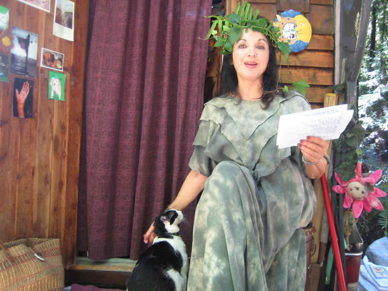 asomadaenlaventana: 2011