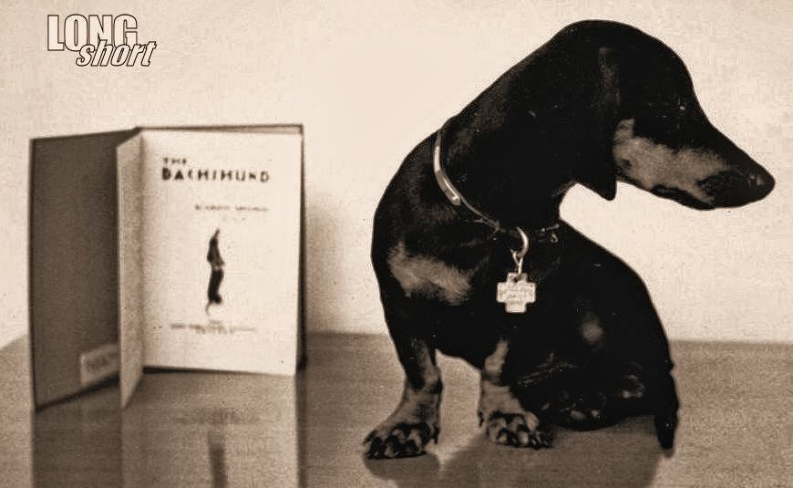 The Long and Short of it All: A Dachshund Dog News Magazine: Vintage ...
