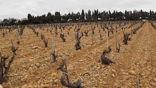 Domaine Comte de Lauze Châteauneuf du Pape