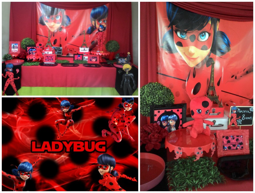 Ladybug, festa infantil TELLASTELLA