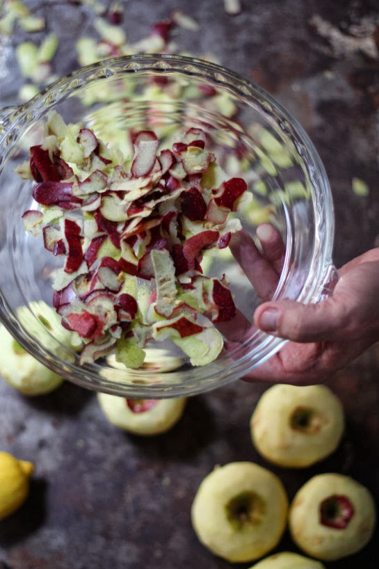 Origins Farm: Natural Cinnamon Apple Fruit Leather | 17 Apart