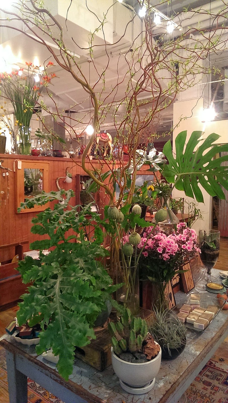 The Outlaw Gardener: Visiting Solabee and Boys' Fort