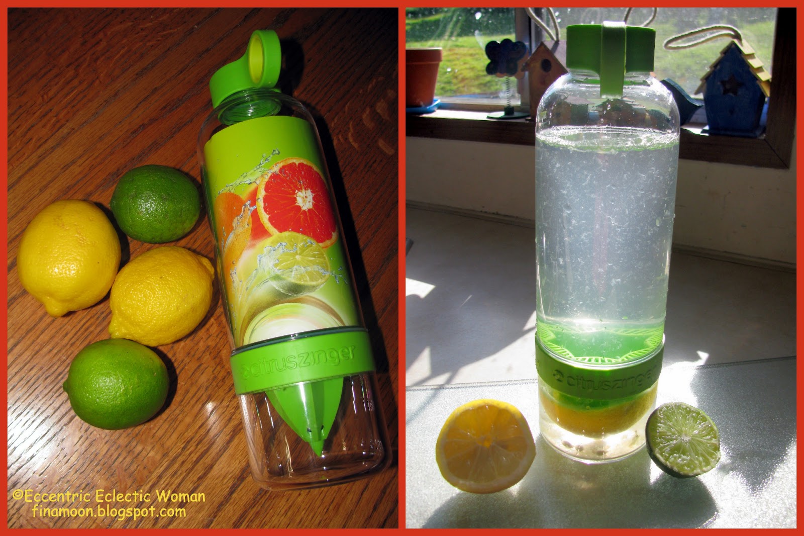 Eccentric Eclectic Woman: Zing Anything Citrus Zinger Review and Giveaway