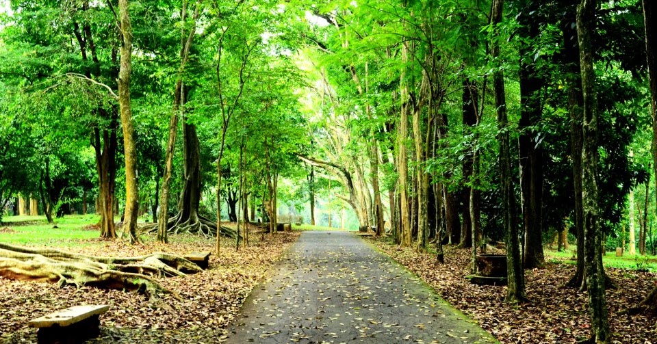 WISATA KEBUN RAYA PURWODADI DAN KEBUN TEH WONOSARI ~ Visit Malang Adventure