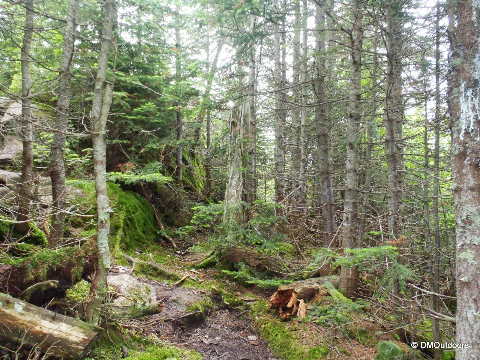 DMOutdoors: Great Range Traverse (Adirondacks) - 7/6/13