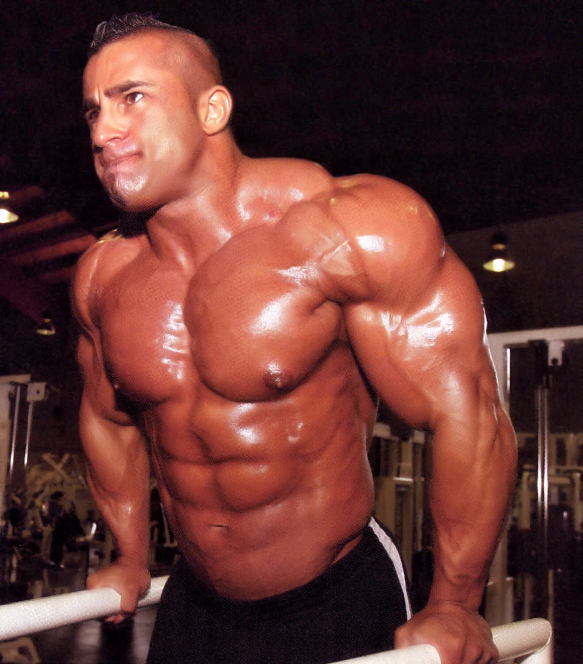 Knights of Bodybuilding: FOUAD ABIAD 2