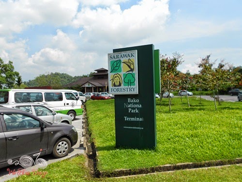 WireBliss's Wire Jewelry: Bako National Park, Kuching-Part 1