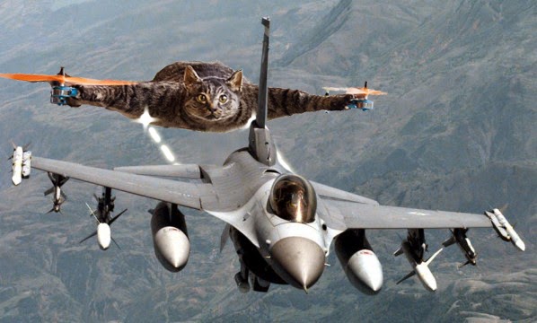 Vídeo: O polêmico "Gato Helicóptero" (CatCopter) - Blog Sequelanet