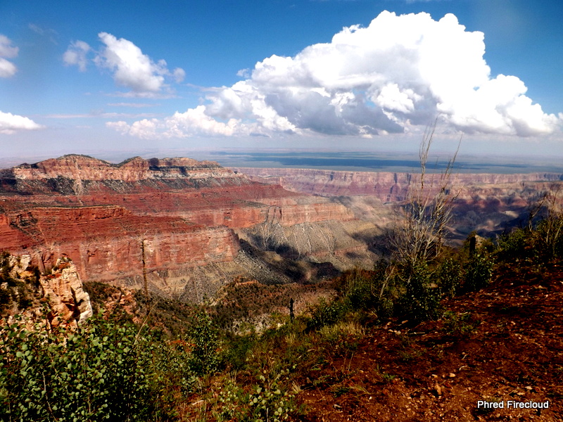 The Firecloud Report: The Kaibab Plateau