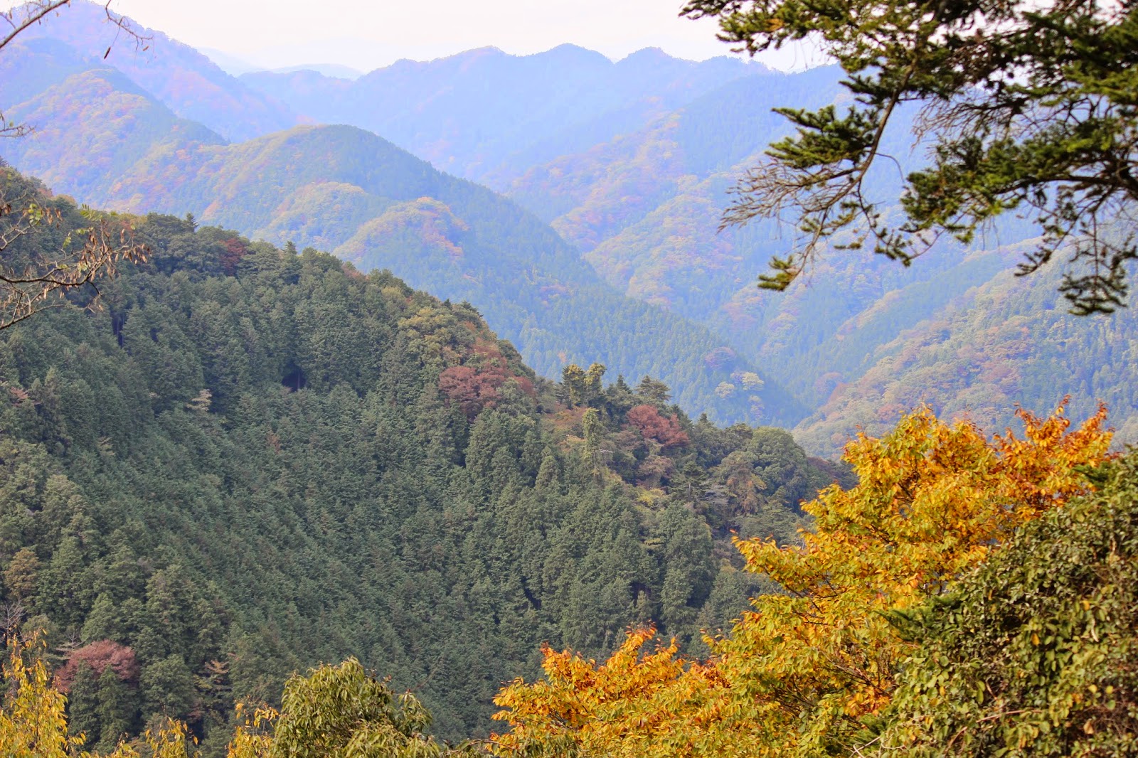 Havens Family Adventures (formerly Adventures in Japan): Koyo on Mt. Takao
