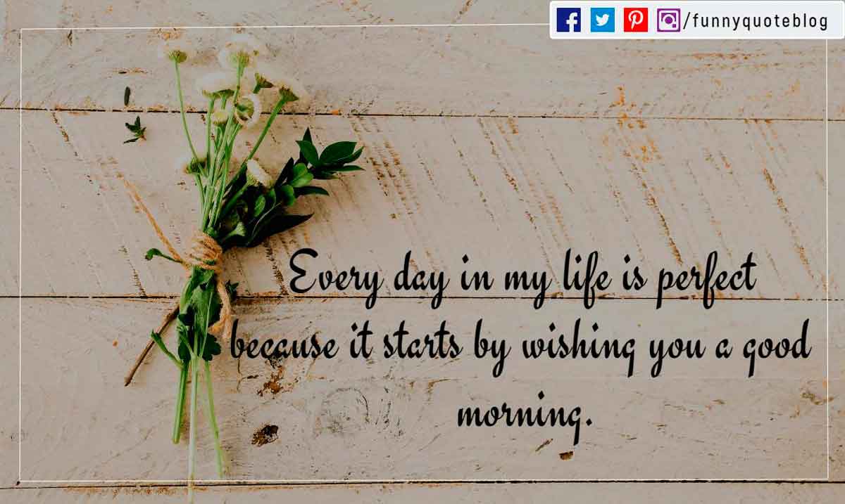51 Good Morning Love Quotes with Beautiful Images