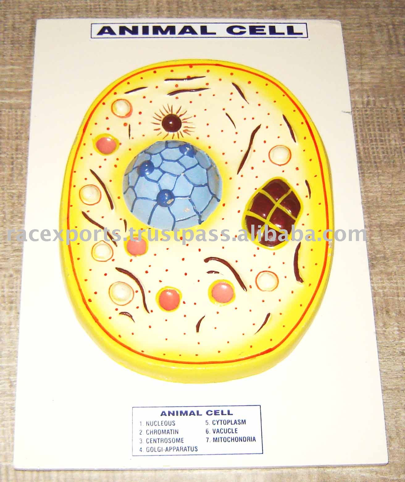 " El blog de Miss Esther ": Natural Sciences