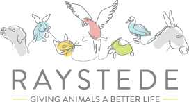 Zoo Jobs: ANIMAL ENRICHMENT VOLUNTEER