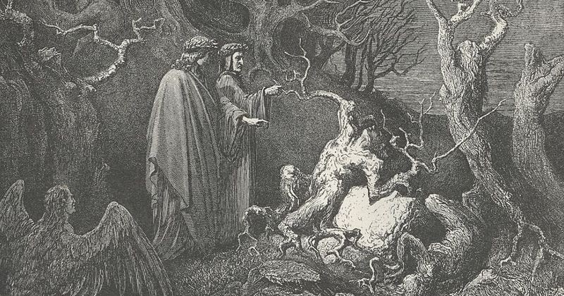 Inferno Canto 13 - Riassunto • Scuolissima.com