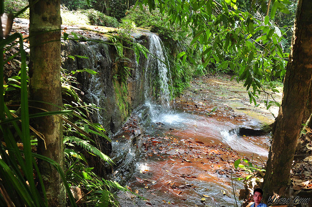 Lambir Hills National Park, Latak Waterfall Exploration with Wilson ...