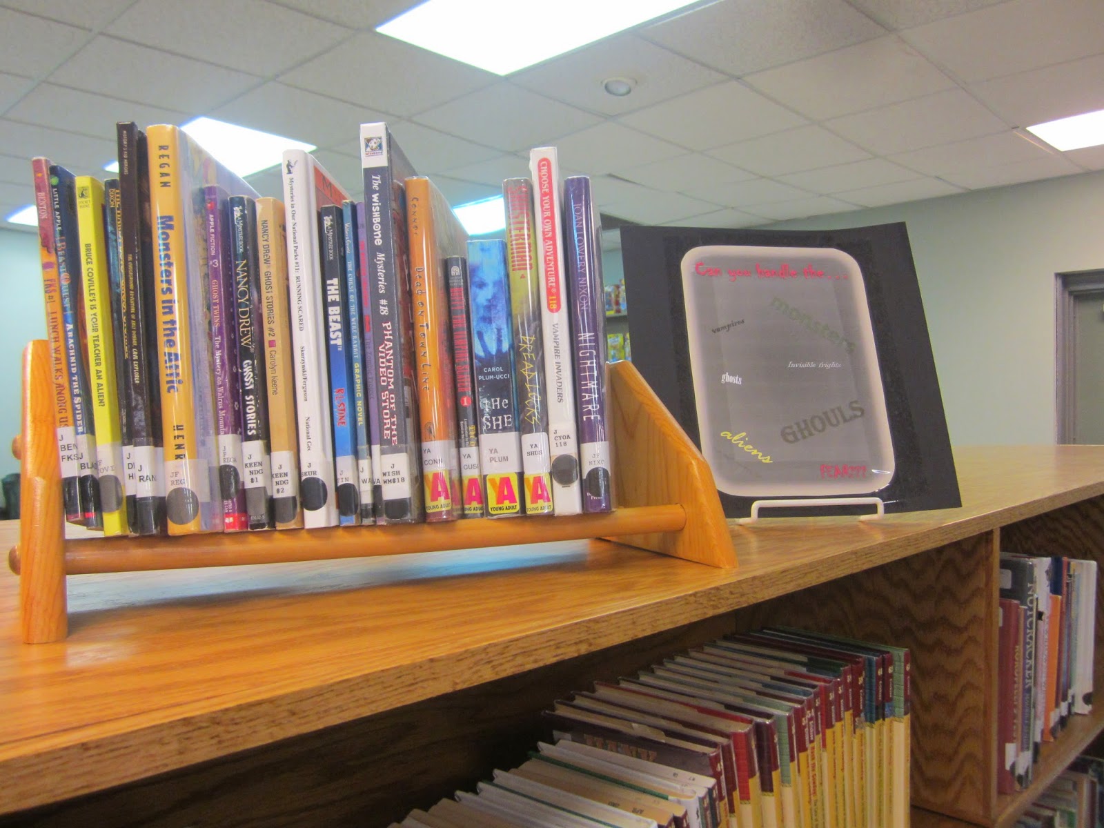 Fall Creek Public Library: Stories to Tell: Scary Stories Display