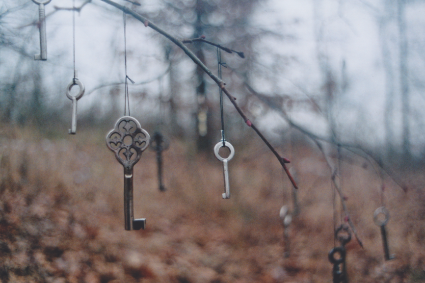 wideeyedtree: *key moment