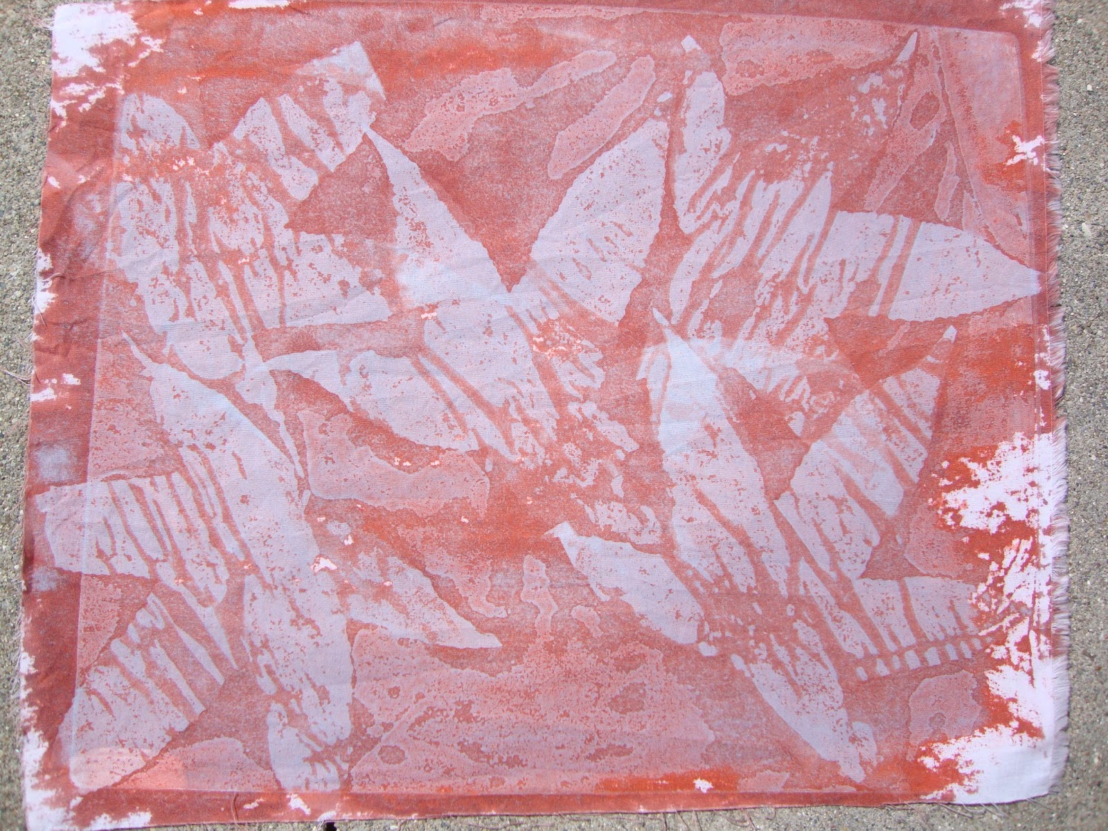 Robbie's Paw Prints: Solar Fast Results