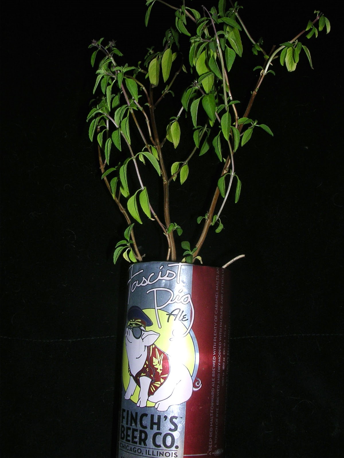 11:42 Style: DIY Beer Can Herb Pot